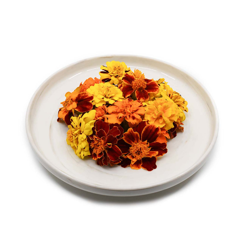 EDIBLE FLOWER - MARIGOLD MIXED 万寿菊花 (24G/PUN) – LIM JOO HUAT ENTERPRISE