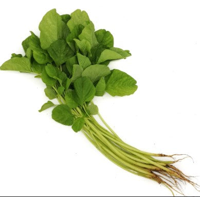 SPINACH LOCAL BAYAM 苋菜 (300G/PKT) – LIM JOO HUAT ENTERPRISE