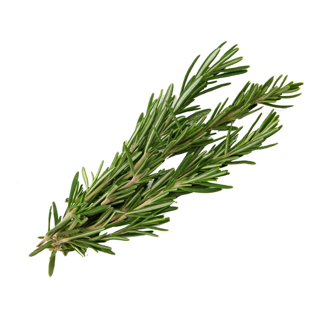 ROSEMARY 迷迭香 (50G/PKT) – LIM JOO HUAT ENTERPRISE