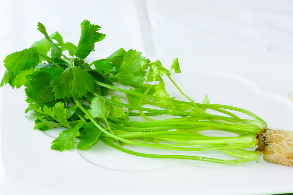 CELERY LOCAL 本地芹菜 (500G/BUN) – LIM JOO HUAT ENTERPRISE