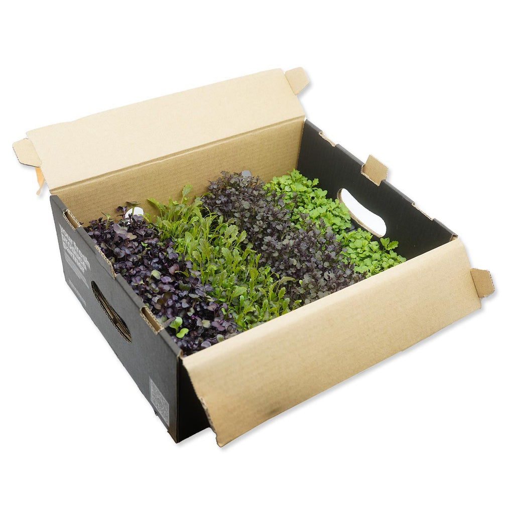 (OMK) ASSORTED MIX CRESS / OMAKASE MG – LIM JOO HUAT ENTERPRISE